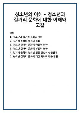 청소년의 이해 - 청소년과 길거리 문화에 대한 이해와 고찰-1페이지