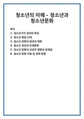 청소년의 이해 - 청소년과 청소년문화-1페이지