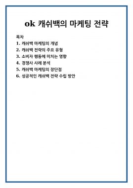  캐쉬백의 마케팅 전략-1페이지