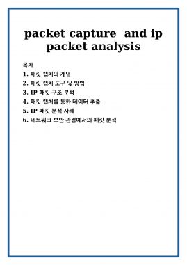 packet capture  and ip packet analysis-1페이지