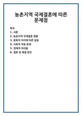 농촌지역 국제결혼에 따른 문제점-1페이지