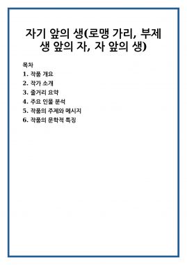 자기 앞의 생(로맹 가리, 부제 생 앞의 자, 자 앞의 생)-1페이지