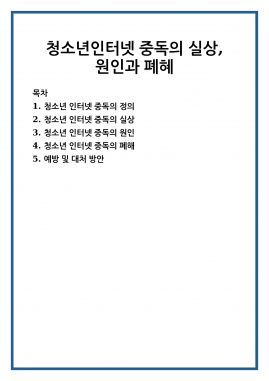 청소년인터넷 중독의 실상,원인과 폐혜-1페이지
