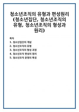청소년조직의 유형과 편성원리(청소년집단, 청소년조직의 유형, 청소년조직의 형성과 원리)-1페이지