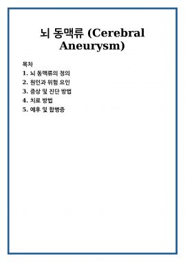 뇌 동맥류 (Cerebral Aneurysm)-1페이지