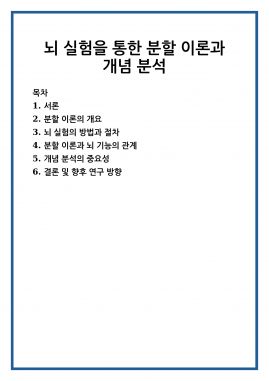 뇌 실험을 통한 분할 이론과 개념 분석-1페이지