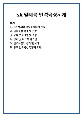 sk텔레콤 인력육성체계-1페이지