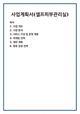 사업계획서(셀프피부관리실)-1페이지