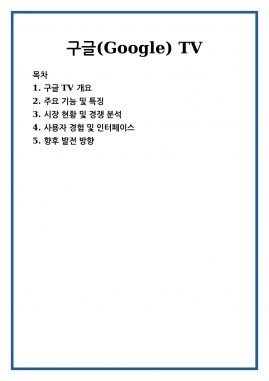 구글(Google) TV 레포트 자료-1페이지