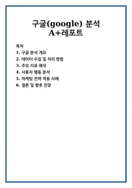 구글(google) 분석레포트-1페이지