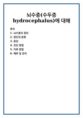 뇌수종(수두증 hydrocephalus)에 대해-1페이지