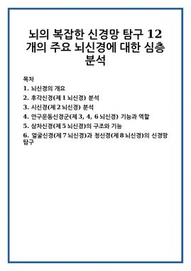 뇌의 복잡한 신경망 탐구 12개의 주요 뇌신경에 대한 심층 분석-1페이지