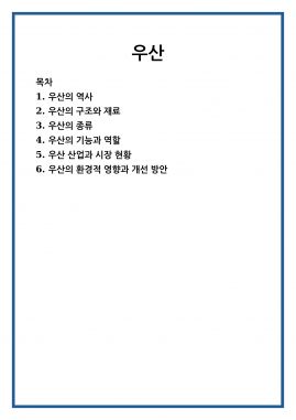 우산 레포트 자료-1페이지
