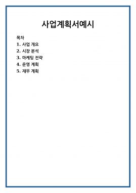 사업계획서예시-1페이지