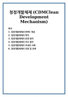 청정개발체제 (CDMClean Development Mechanism)-1페이지