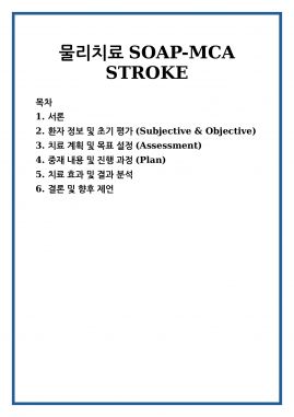 물리치료 SOAP-MCA STROKE-1페이지