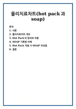 물리치료차트(hot pack과 soap)-1페이지