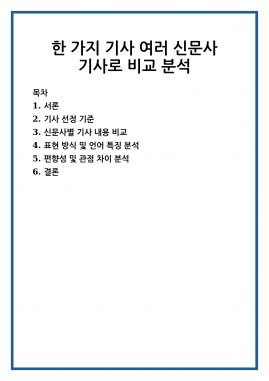 한 가지 기사 여러 신문사 기사로 비교 분석-1페이지
