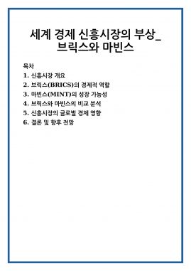 세계 경제 신흥시장의 부상_브릭스와 마빈스-1페이지