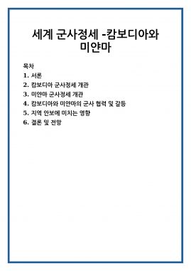 세계 군사정세 -캄보디아와 미얀마-1페이지