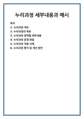 누리과정 세부내용과 예시-1페이지