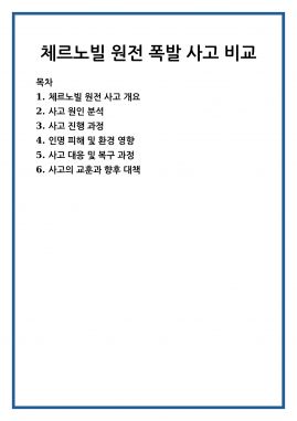 체르노빌 원전 폭발 사고 비교-1페이지