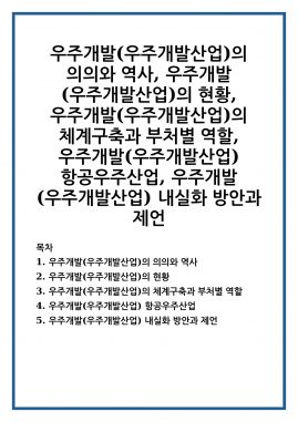 우주개발(우주개발산업)의 의의와 역사, 우주개발(우주개발산업)의 현황, 우주개발(우주개발산업)의 체계구축과 부처별 역할, 우주개발(우주개발산업) 항공우주산업, 우주개발(우주개발산업) 내실화 방안과 제언-1페이지