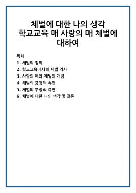 체벌에 대한 나의 생각 학교교육 매 사랑의 매 체벌에 대하여-1페이지