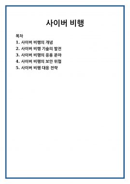 사이버 비행 레포트 자료-1페이지