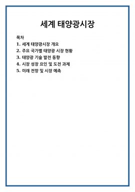 세계 태양광시장-1페이지