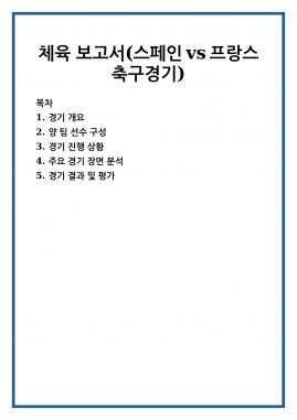 체육 보고서(스페인vs프랑스 축구경기)-1페이지