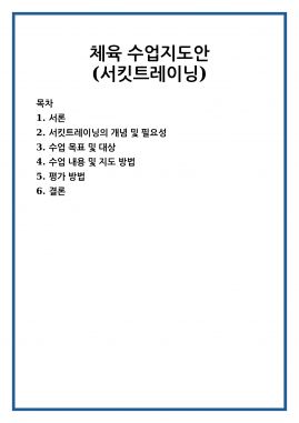 체육 수업지도안 (서킷트레이닝)-1페이지