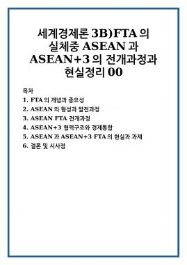 세계경제론3B)FTA의 실체중 ASEAN과 ASEAN+3의 전개과정과 현실정리00-1페이지
