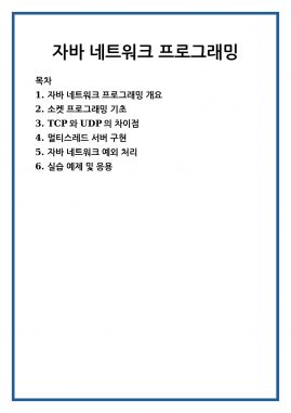 자바 네트워크 프로그래밍-1페이지