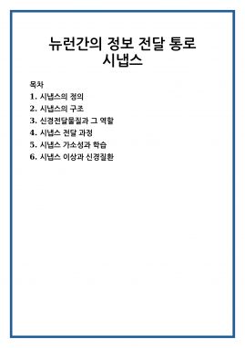 뉴런간의 정보 전달 통로 시냅스-1페이지