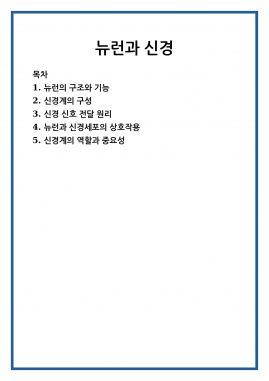 뉴런과 신경 레포트 자료-1페이지