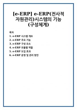 [e-ERP] e-ERP(전사적 자원관리)시스템의 기능(구성체계)-1페이지