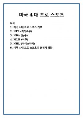 미국 4대 프로 스포츠-1페이지