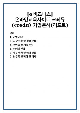 [e비즈니스]온라인교육사이트 크레듀(credu) 기업분석(리포트)-1페이지