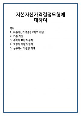 자본자산가격결정모형에 대하여-1페이지