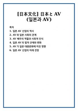 [日本文化] 日本とAV (일본과 AV)-1페이지
