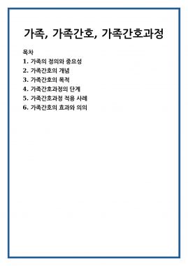 가족, 가족간호, 가족간호과정-1페이지