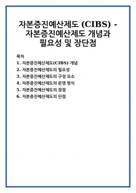 자본증진예산제도 (CIBS) - 자본증진예산제도 개념과 필요성 및 장단점-1페이지
