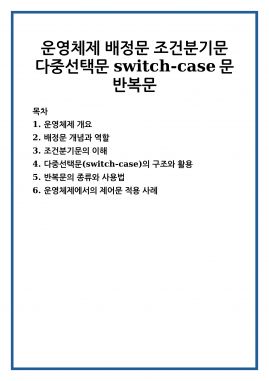 운영체제 배정문 조건분기문 다중선택문 switch-case문 반복문-1페이지
