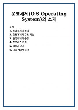 운영체제(O.S Operating System)의 소개-1페이지
