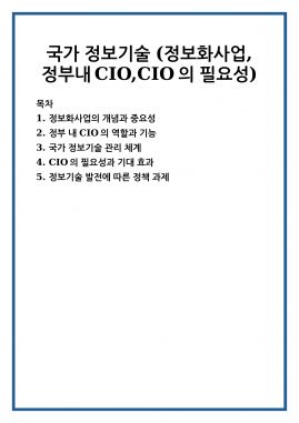 국가 정보기술 (정보화사업,정부내CIO,CIO의 필요성)-1페이지