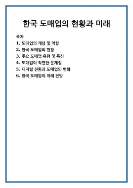 한국 도매업의 현황과 미래-1페이지