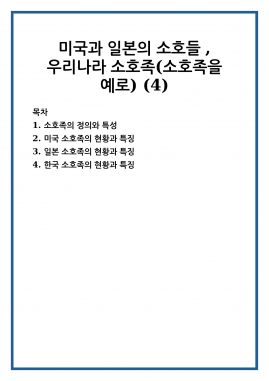 미국과 일본의 소호들 , 우리나라 소호족(소호족을 예로) (4)-1페이지
