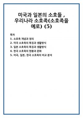 미국과 일본의 소호들 , 우리나라 소호족(소호족을 예로) (5)-1페이지