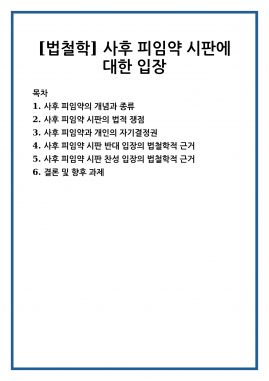 [법철학] 사후 피임약 시판에 대한 입장-1페이지